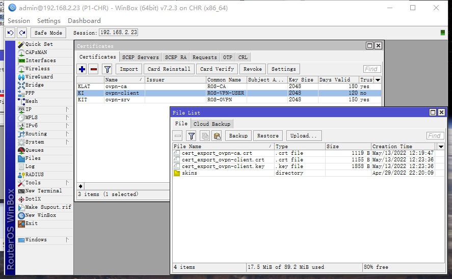 RouterOS 7.x版本搭建OpenVPN服务端（并使用Win 10作为客户端链接）-Linux Study Lab